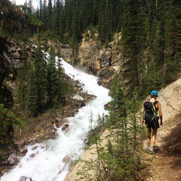 5 Best Hikes Near Golden BC - Hike the Canadian Rockies