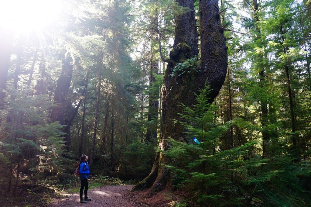 Benefits of Being Outside and Outdoor Activities | Explore Your Backyard